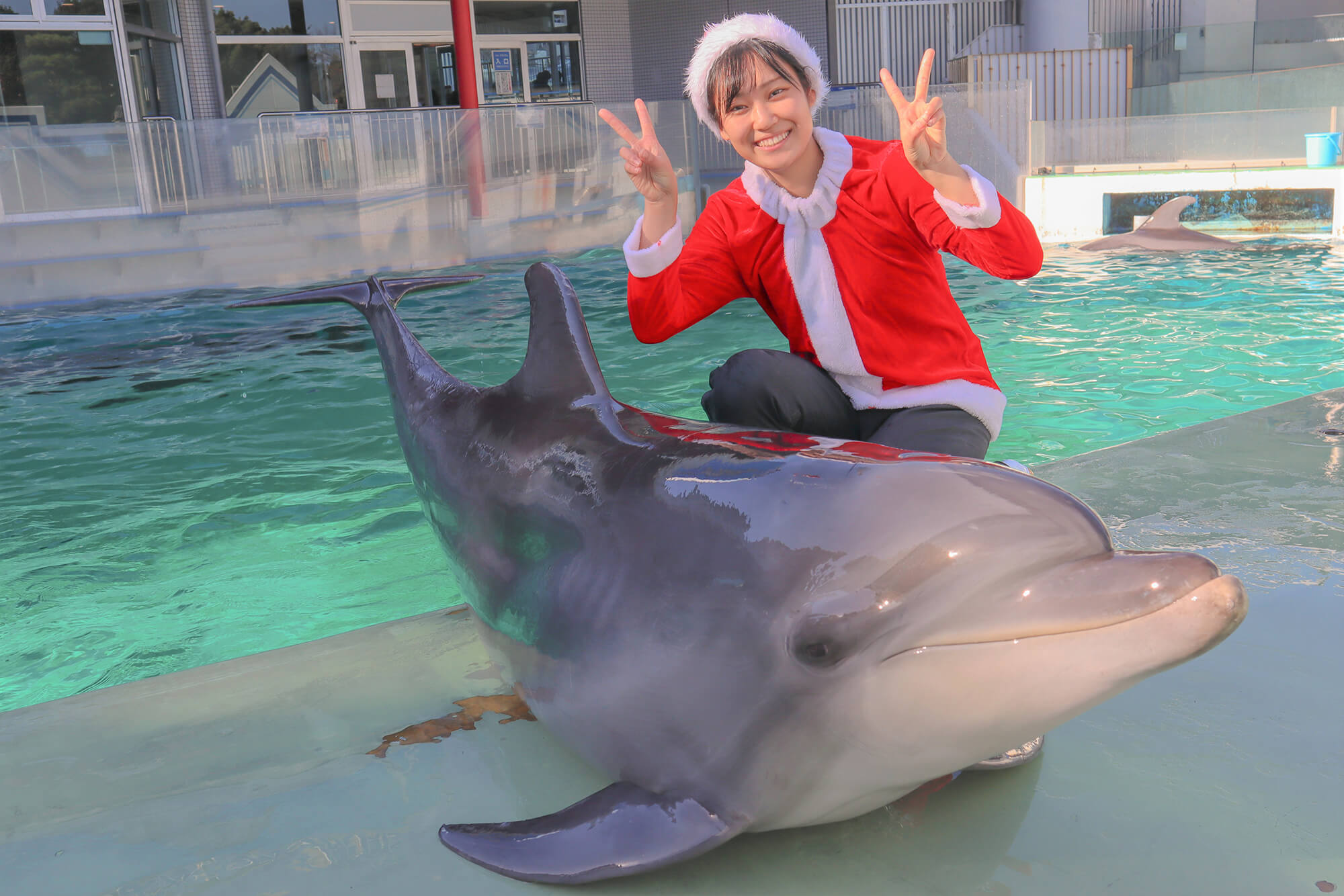 人気コースターをVR+MX4Dで再現 富士急ハイランドに「ほぼほぼジェットコースターV」オープン｜あとなびマガジン