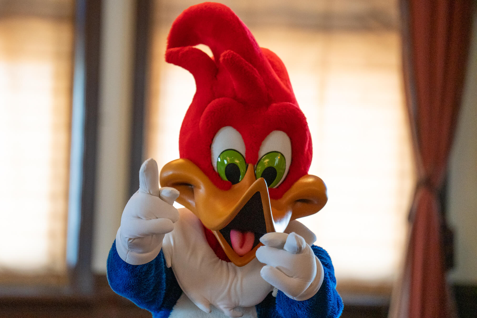 【写真】USJ、CSRスローガンをリニューアル チャリティTシャツ発売決定｜あとなびマガジン